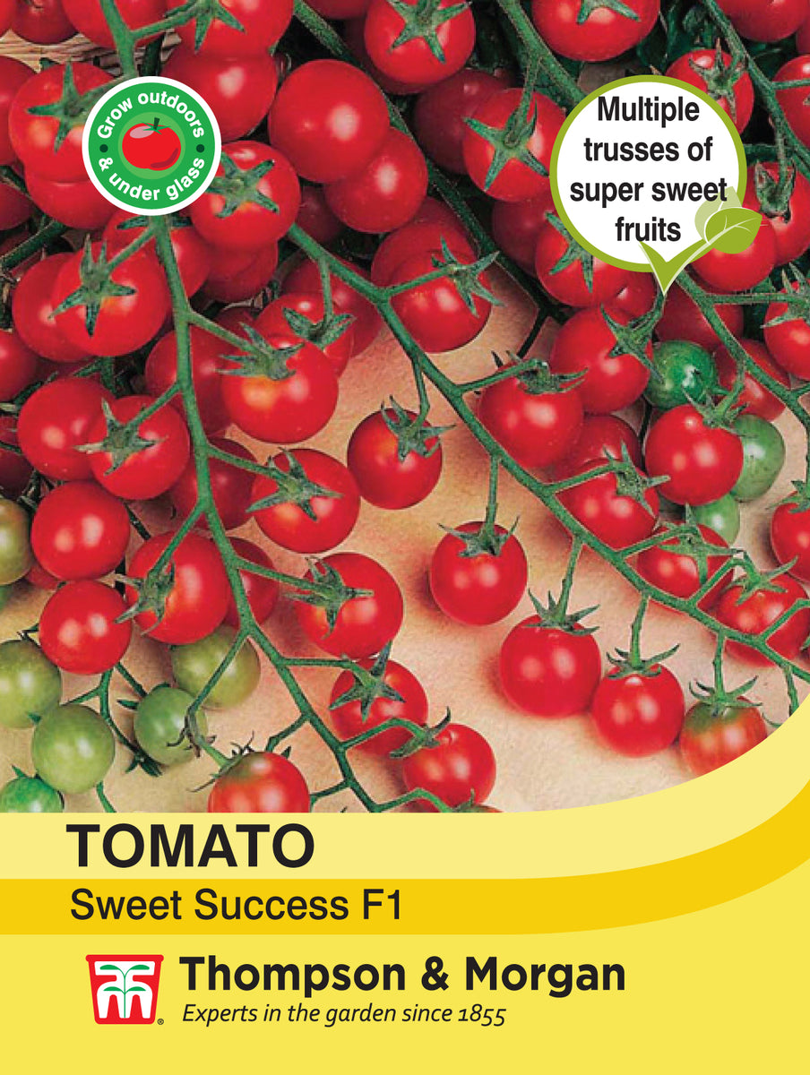 Tomato Sweet Success – McGaugh’s Gardening Complex